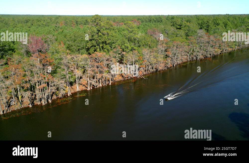 Big Cypress Bayou River at Caddo Lake State Park Stock Video Footage ...