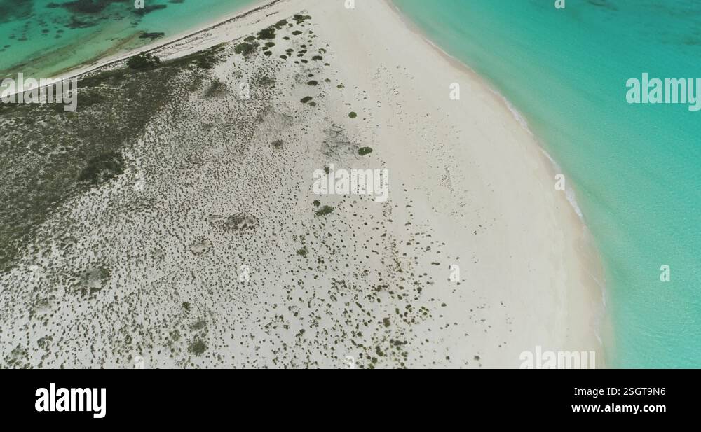 Caribbean sandbar in cayo de Agua Los Roques, Aerial shot tilt up ...