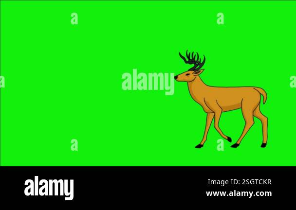 2d Animation Of Cream Deer Walking And Crossing With Green Screen ...