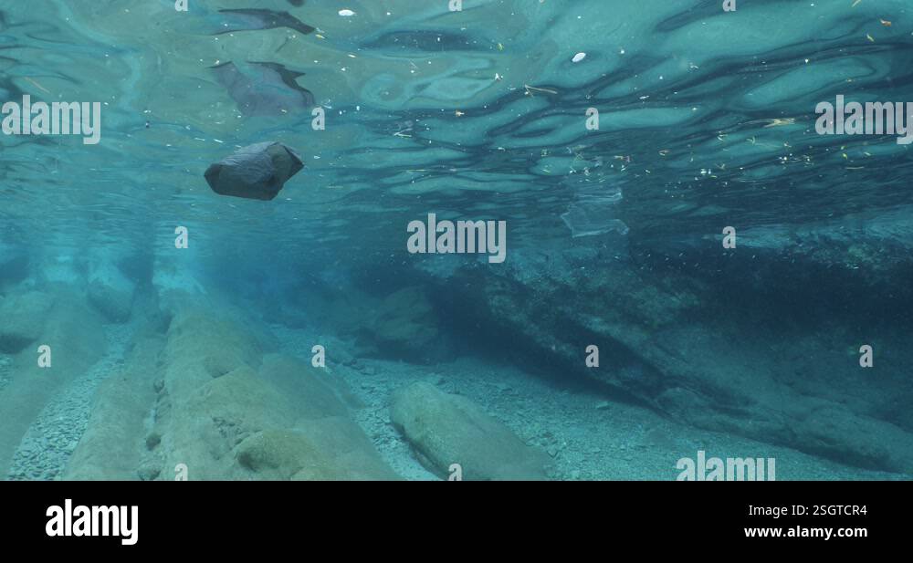 plastic bag underwater bad for fish with sun rays background ocean ...