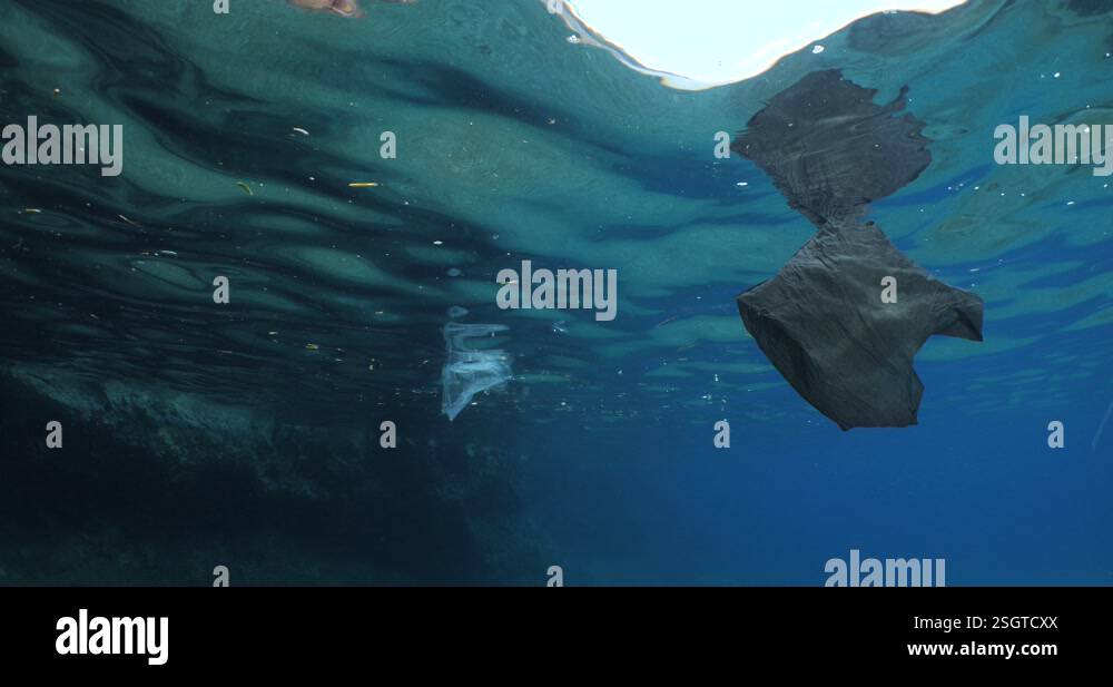 plastic bag underwater bad for fish with sun rays background ocean ...