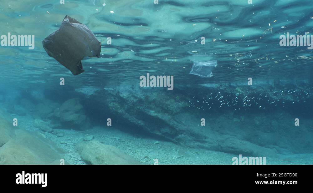 plastic bag underwater bad for fish with sun rays background ocean ...