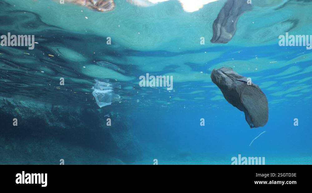 plastic bag underwater bad for fish with sun rays background ocean ...