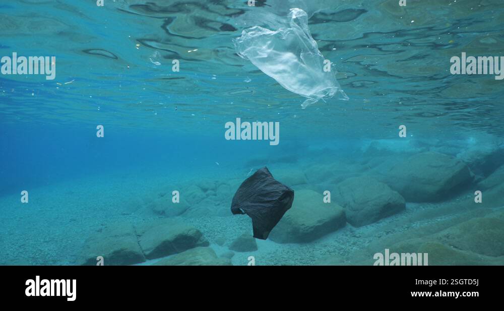 plastic bag underwater bad for fish with sun rays background ocean ...