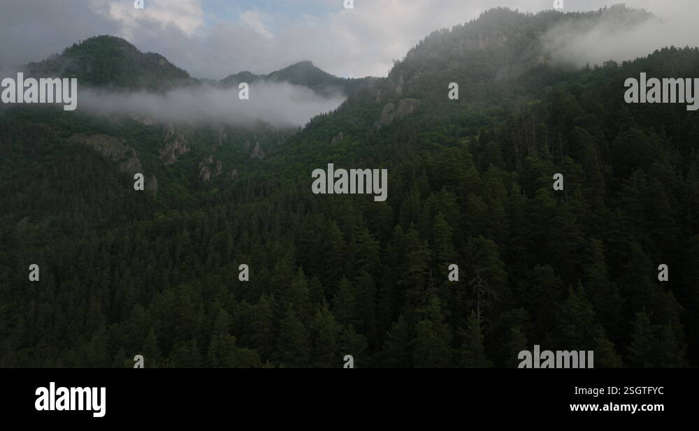 Clouds Over Coniferous Forest In Borjomi Nature Reserve Stock Video ...