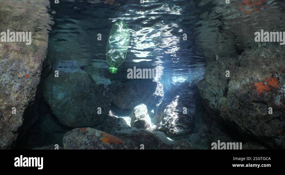 plastic bag underwater bad for fish with sun rays background ocean ...