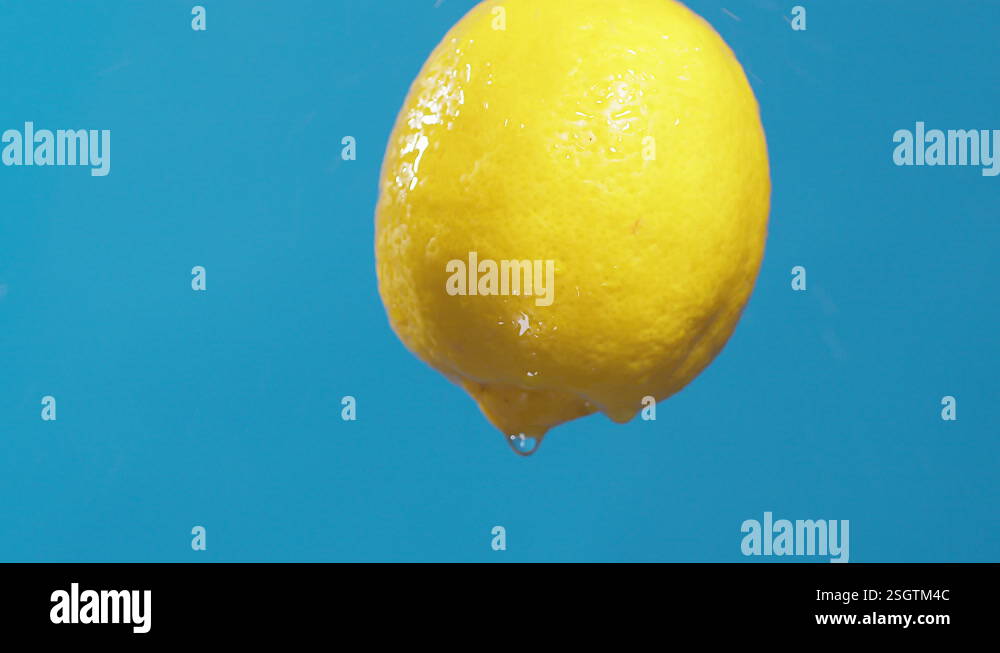 Water drops flowing from a whole sour and fresh lemon down on a blue ...