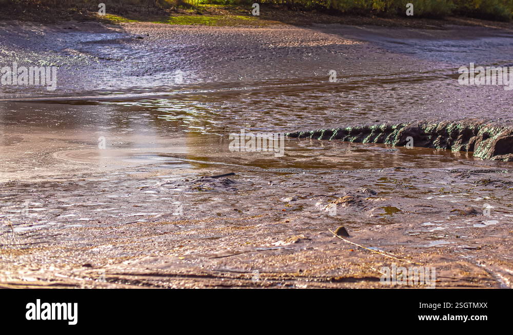 A manmade tidal pool with people gather fish as the water level goes ...