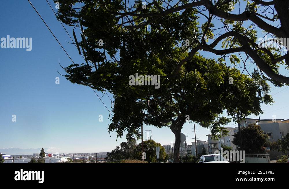 wind condition and speeds picking up Stock Video Footage - Alamy