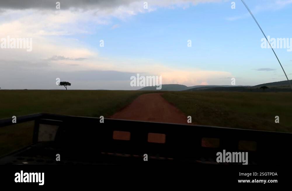 Rear view of 4x4 car driving grassland scenery in Maasai Mara National ...
