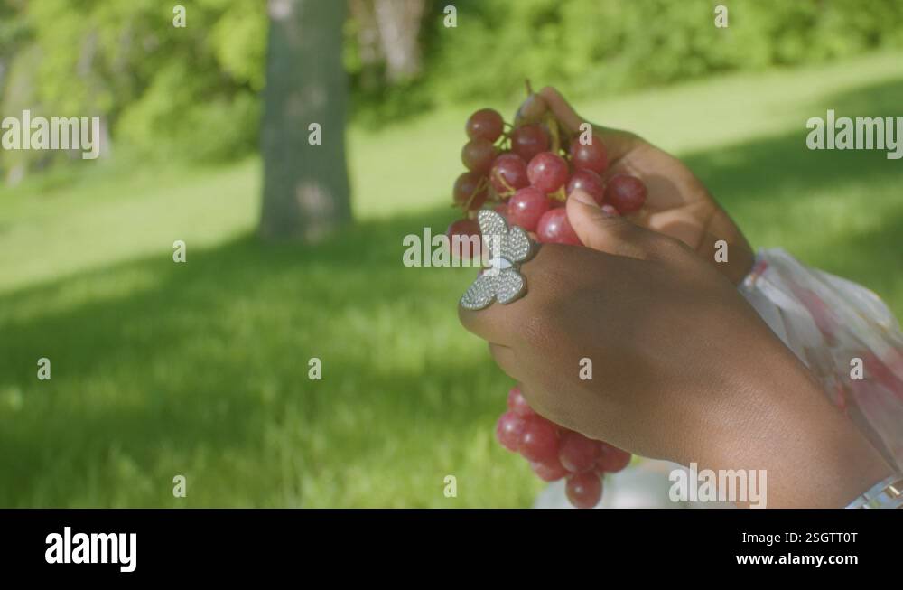 Grapes in hand being picked and eaten at the park on a sunny day close ...