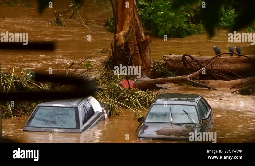 Hurricane Fiona Puerto Rico - Cars Flooded by River Flood Stock Video ...