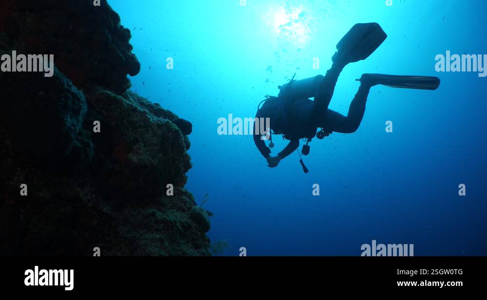 silhouette of scua diver underwater sun beams and rays exploring reefs ...