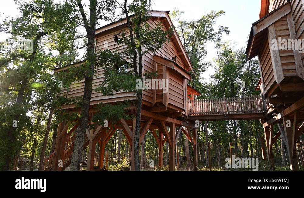 perched huts made with wood in a french forest during a sunset Stock ...