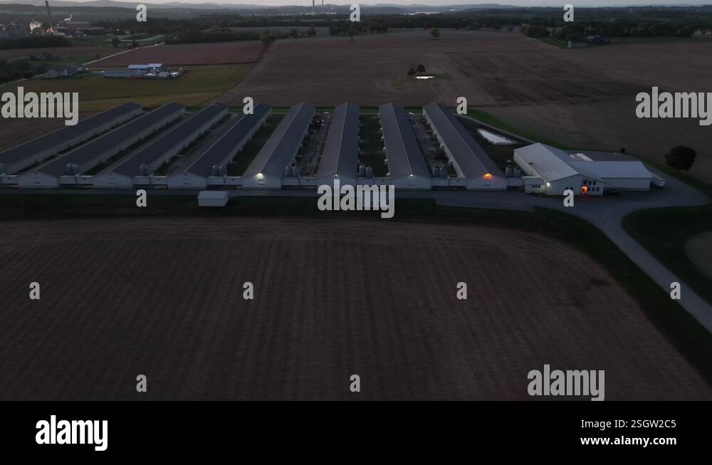 Factory farm at night. Aerial of poultry chicken house barns in rural ...