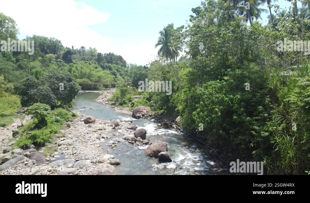 Beautiful River Flowing in Negros Oriental Philippines Stock Video ...