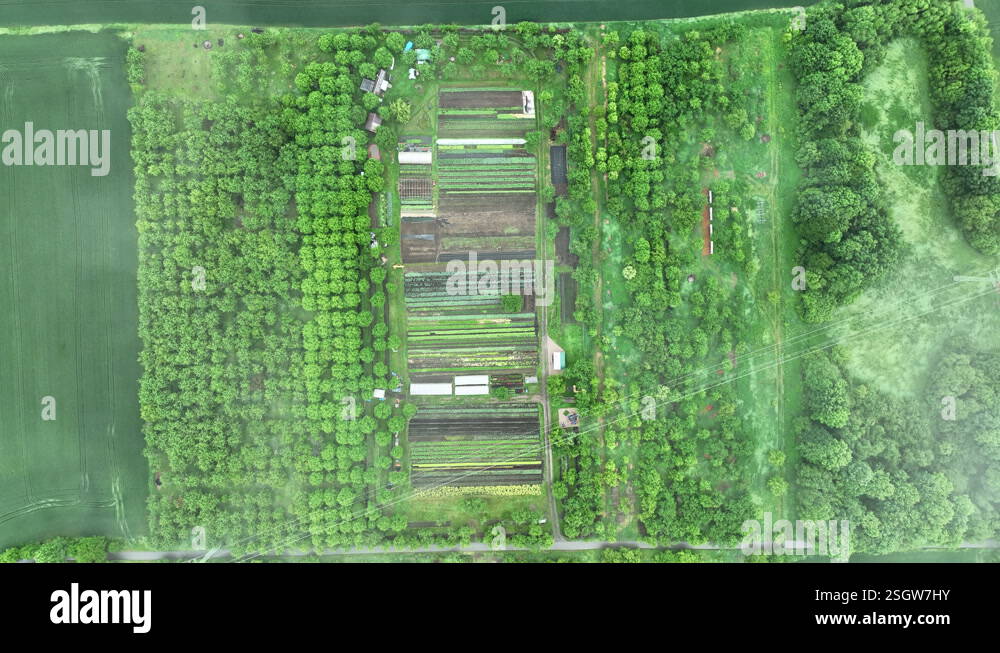 Farm bio farming agricultural farm garden farmer cloudy clouds after ...