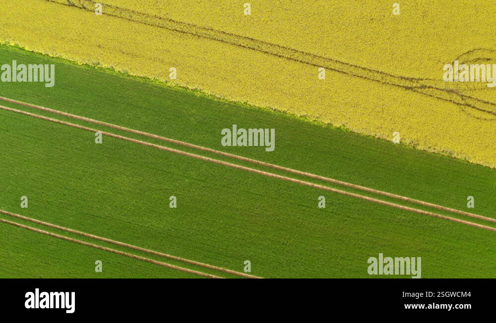 Parallel lines in agriculture fields, aerial top down view Stock Video ...