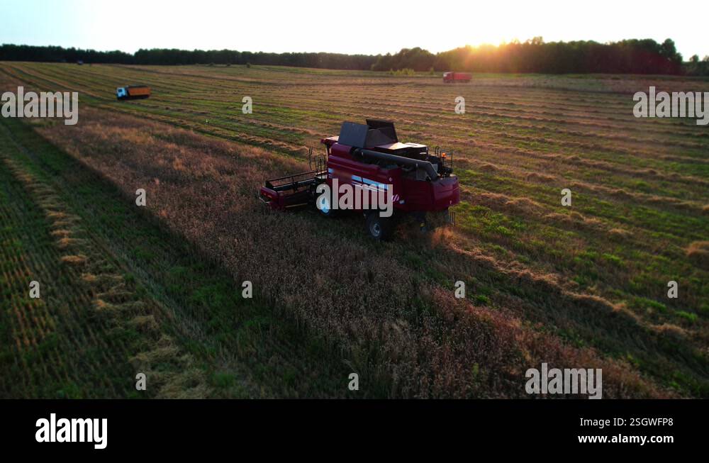 Combine harvester agricultural machine harvests Stock Videos & Footage ...