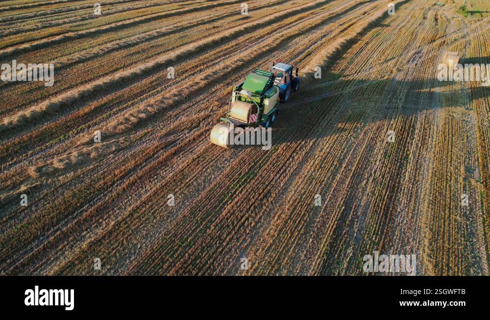 Agriculture tractor making hay bales works on the field. Aerial view of ...