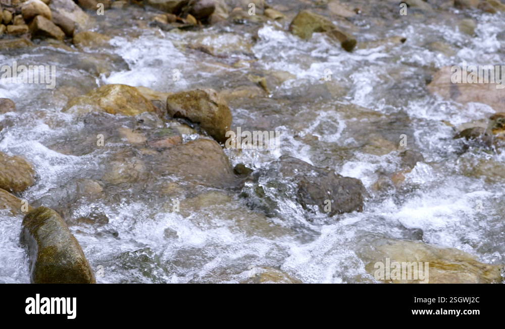 Clear stream running through stone boulders Abundant river flowing in ...