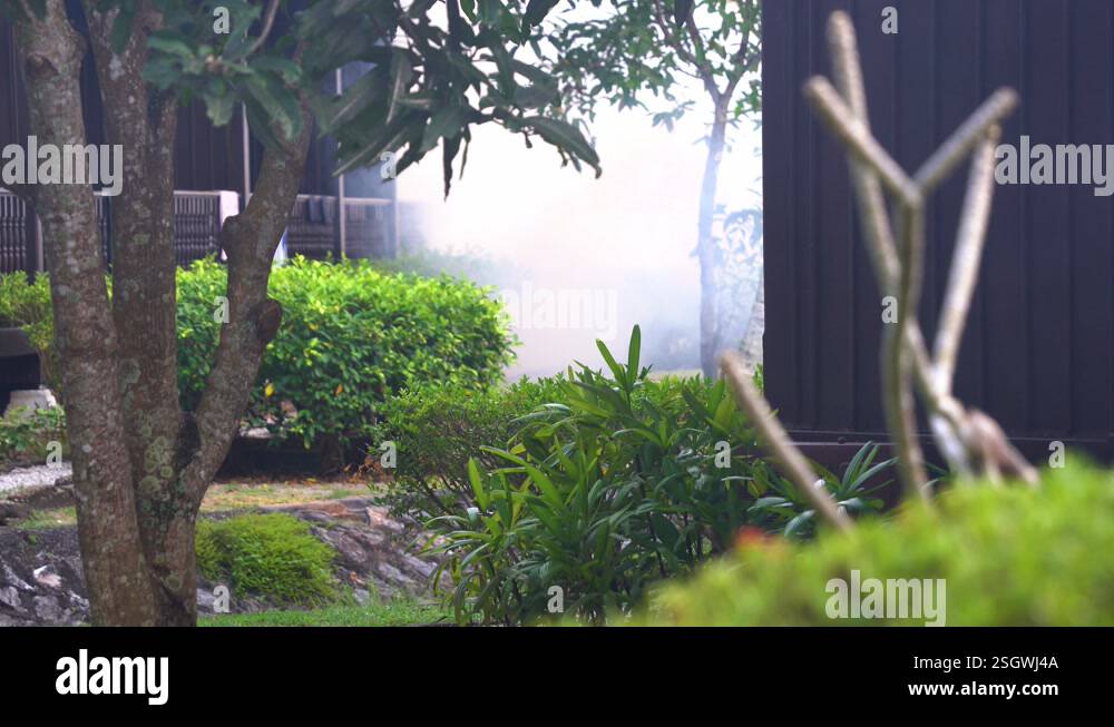 Fumigation activities with thick plumes of white smokes around the ...