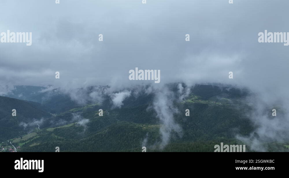 Pine forest fog clouds descending aerial top view drone 4K video Stock ...