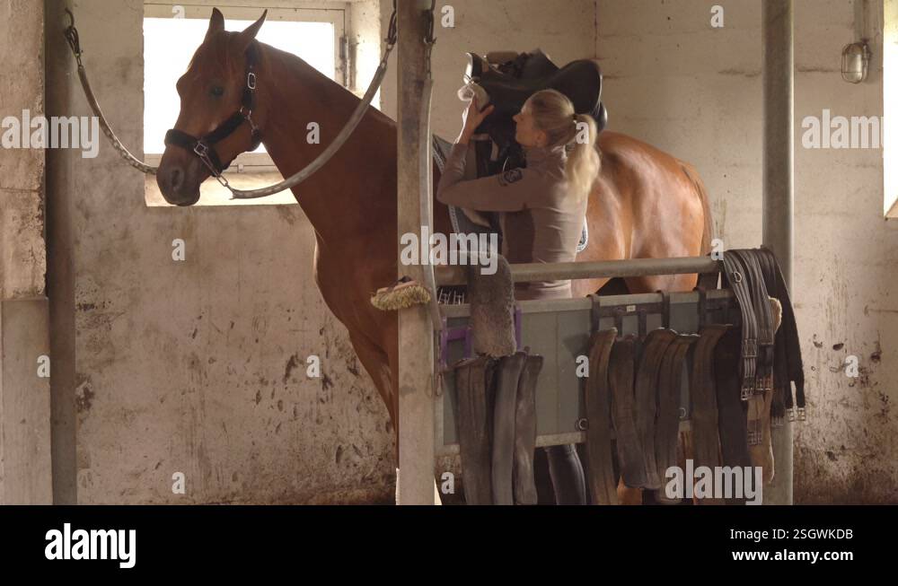 Female Saddling Up Her Chestnut Horse In The Stable - wide Stock Video ...