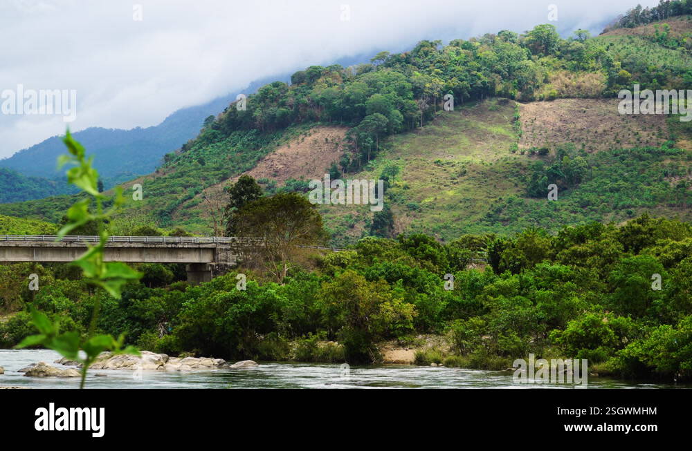 Steep Hillside Slope Beside A River Being Cleared For Planting Bananas ...