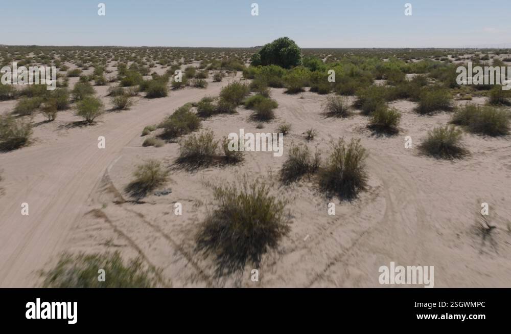 Drone Shot of Desert Pathway with Vehicle Tracks in Sand, Shrubs and ...