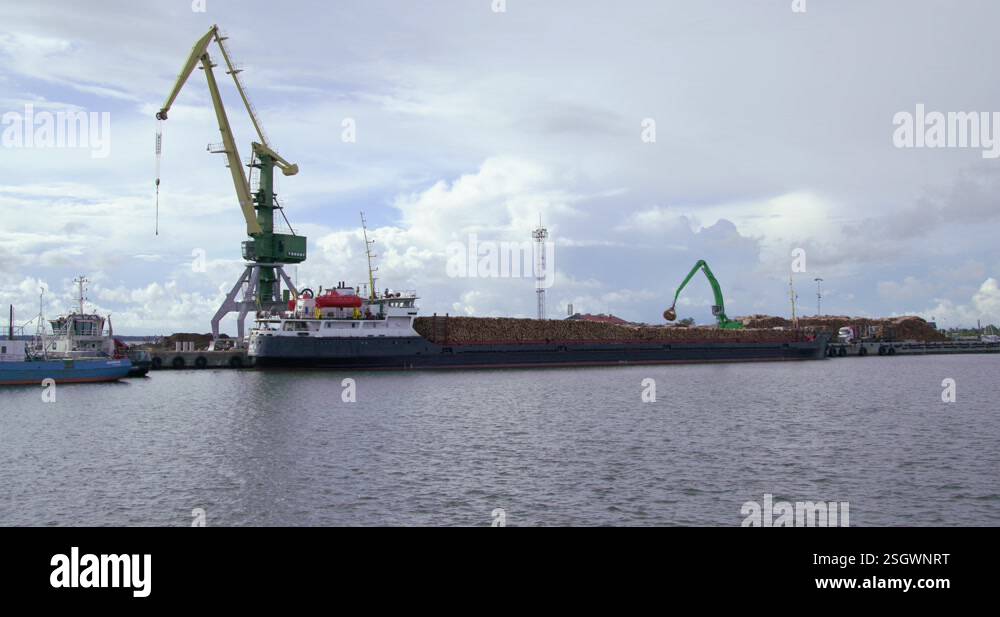 Cargo ship at timber port full of logs loaded onto ship by crane ...
