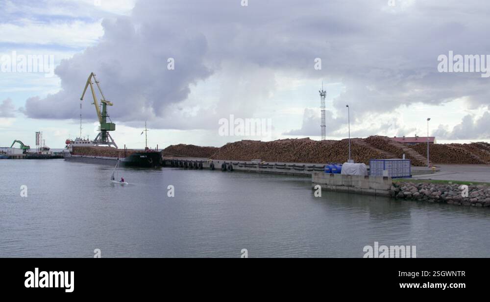 Cargo ship in seaport full of timber log piles, daytime, wide shot ...