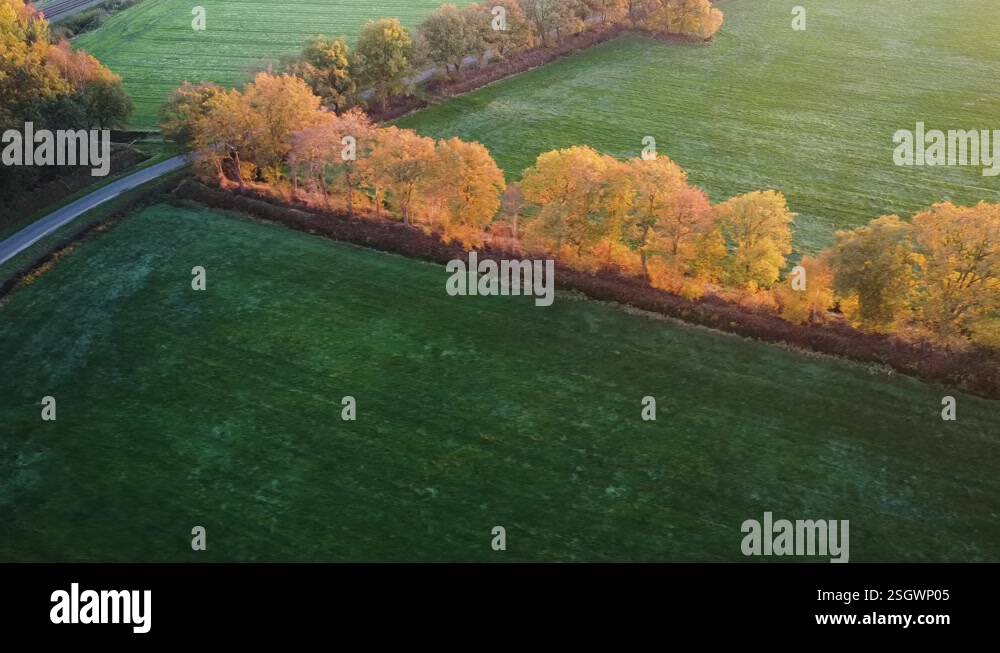 Netherlands colors Stock Videos & Footage - HD and 4K Video Clips - Alamy