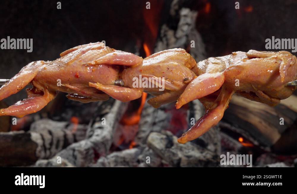 Delicious quail carcasses on the skewer are frying above the open fire ...