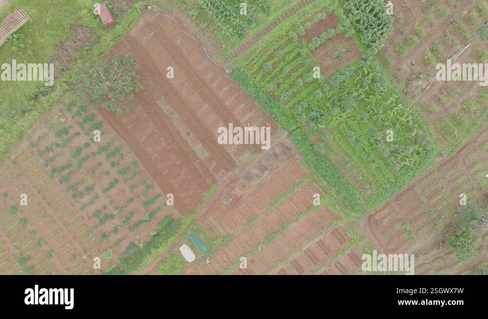 Stream for irrigation Stock Videos & Footage - HD and 4K Video Clips ...