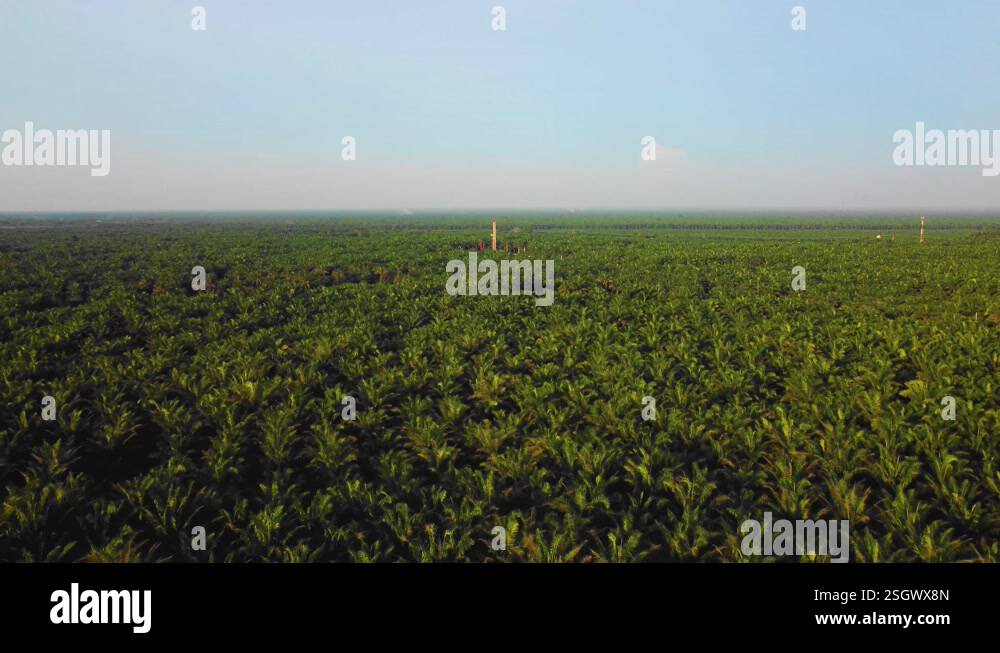 Cinematic 4K Drone Footage of Onshore Drilling Rig equipment structure ...