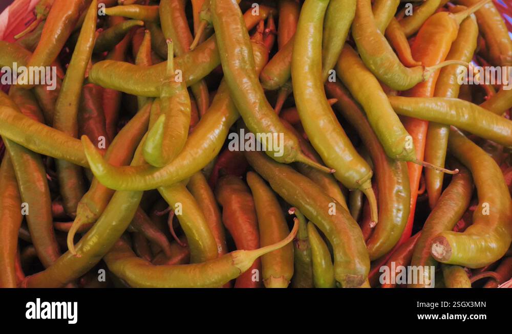 How to store chillies Stock Videos & Footage - HD and 4K Video Clips ...