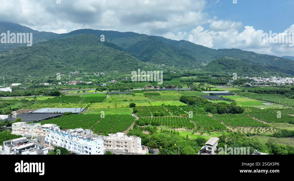 Drone fly over rice field in Taitung of Taiwan Stock Video Footage - Alamy