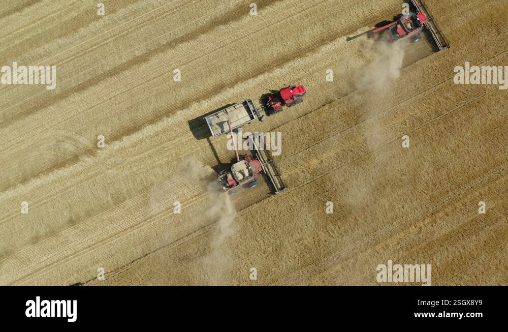 Combine Harvesters Harvesting Crops In The Field On A Sunny Summer Day ...