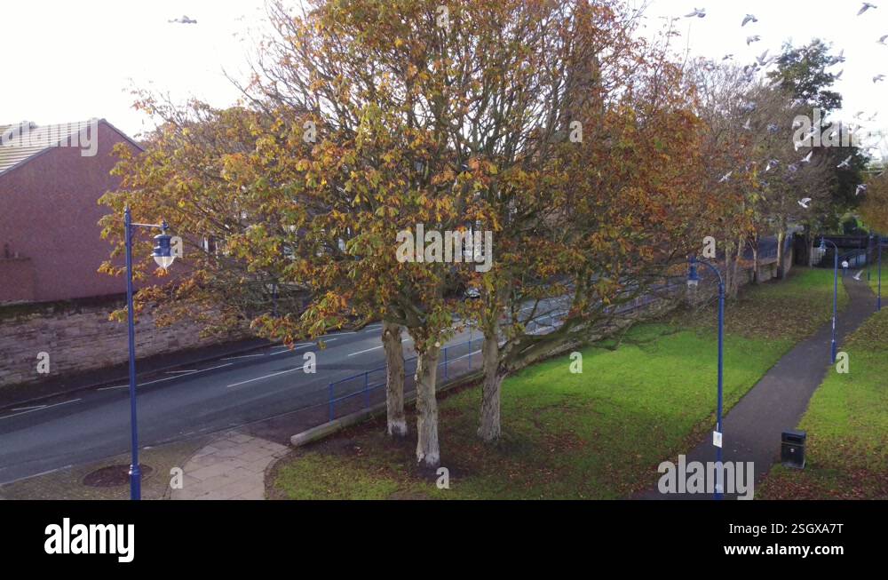 Circle pathway Stock Videos & Footage - HD and 4K Video Clips - Alamy