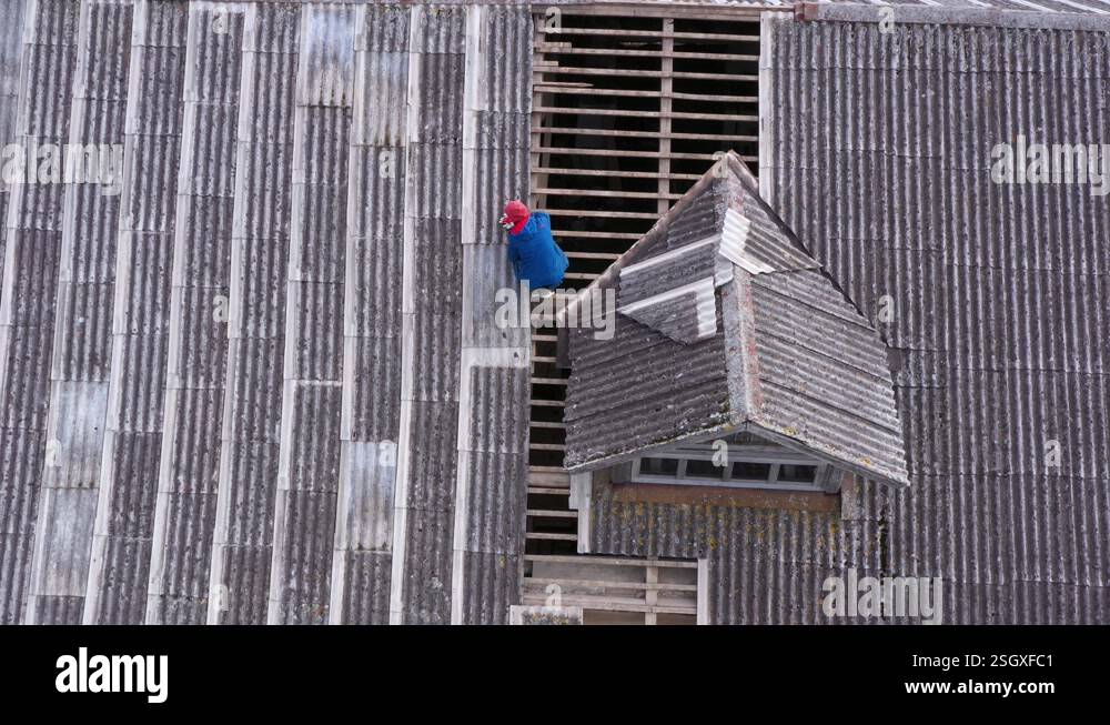 Worker repairing roof Stock Videos & Footage - HD and 4K Video Clips ...