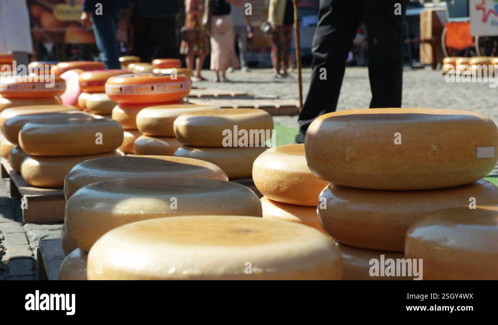 Wheels Of Gouda Cheese Seen On The Traditional Trading Cheese Market In ...