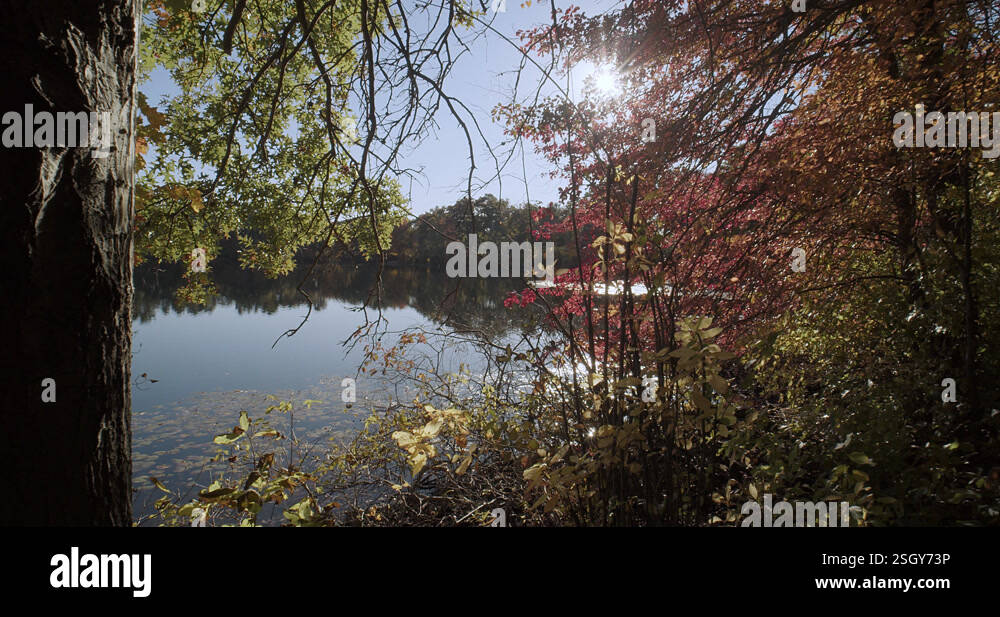 A calm lake sits through early autumn trees as the sun shines behind ...