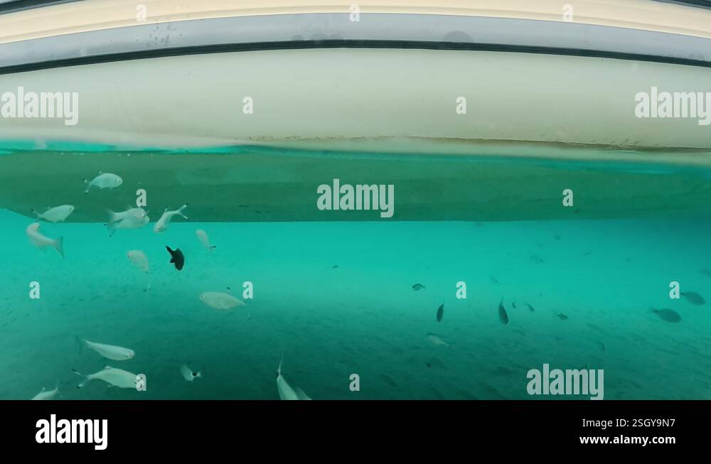 Keel horizontal Stock Videos & Footage - HD and 4K Video Clips - Alamy