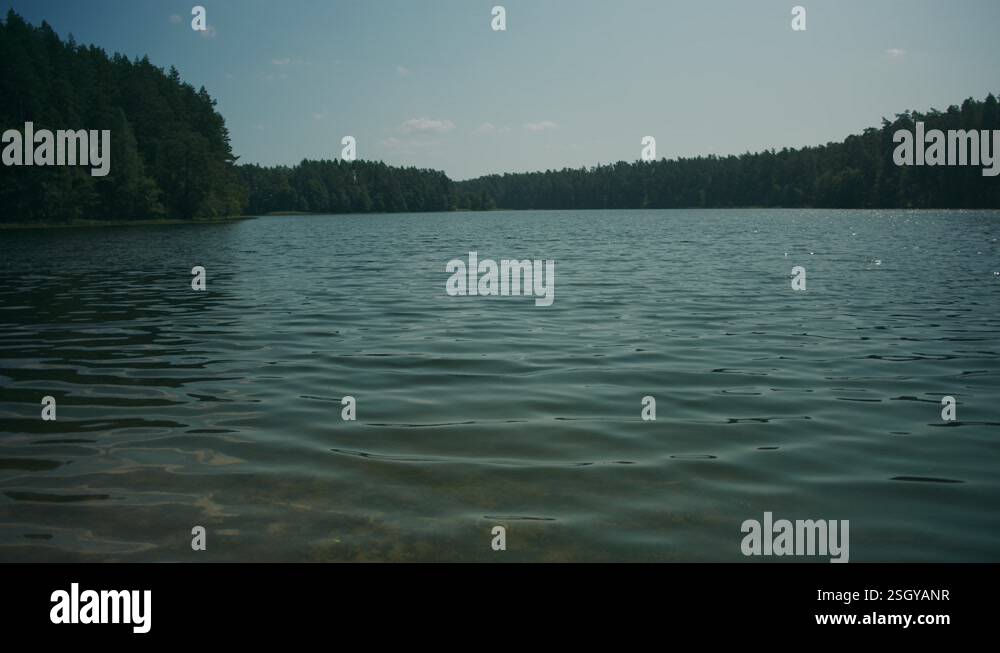 Summer breeze on large freshwater forest lake flows to shallow shore ...