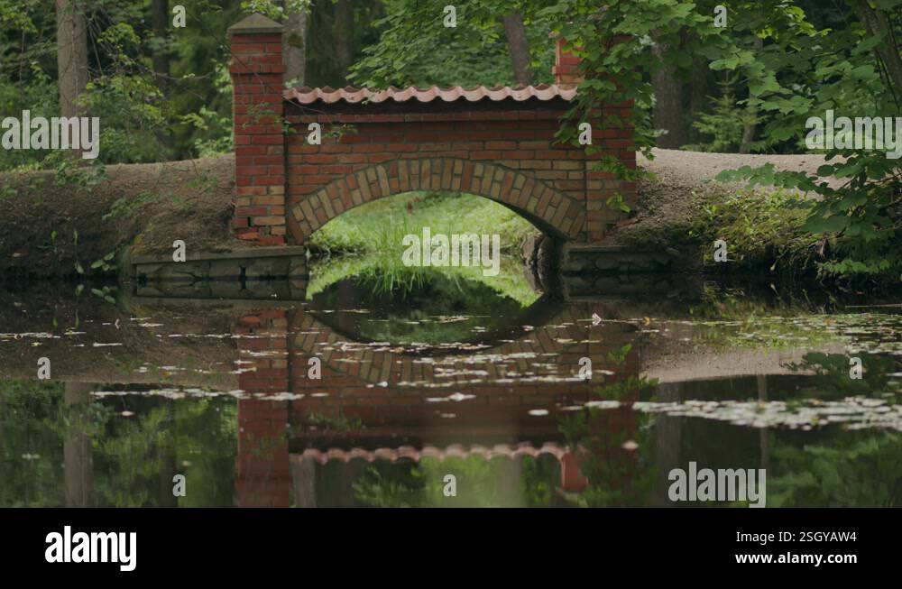 Red brick built arch footbridge in parkland waterlily pond setting ...