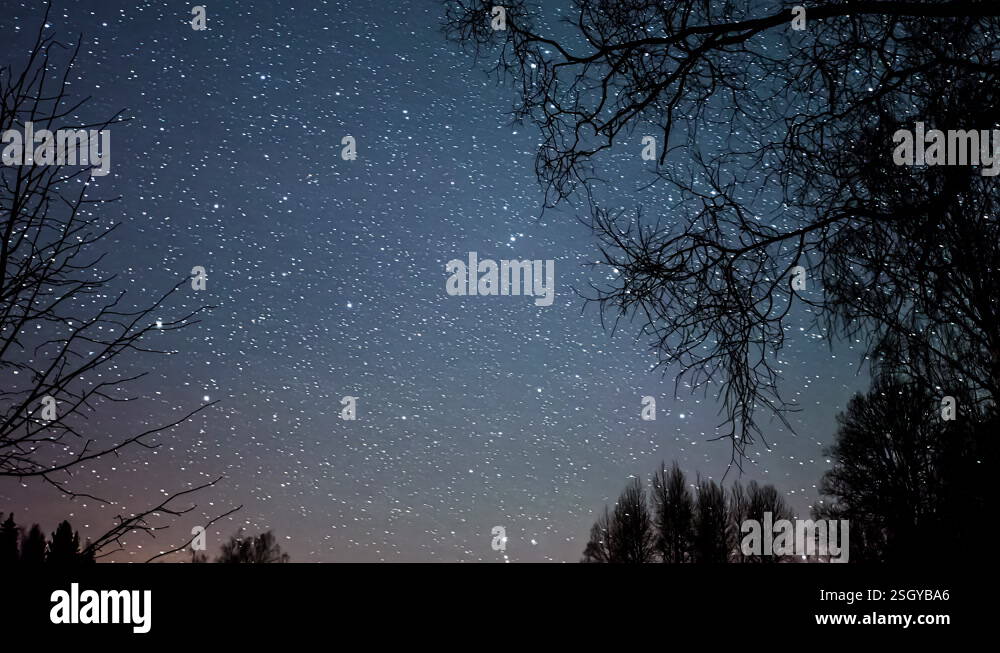 Fast moving stars and meteors at night sky behind leafless tree ...