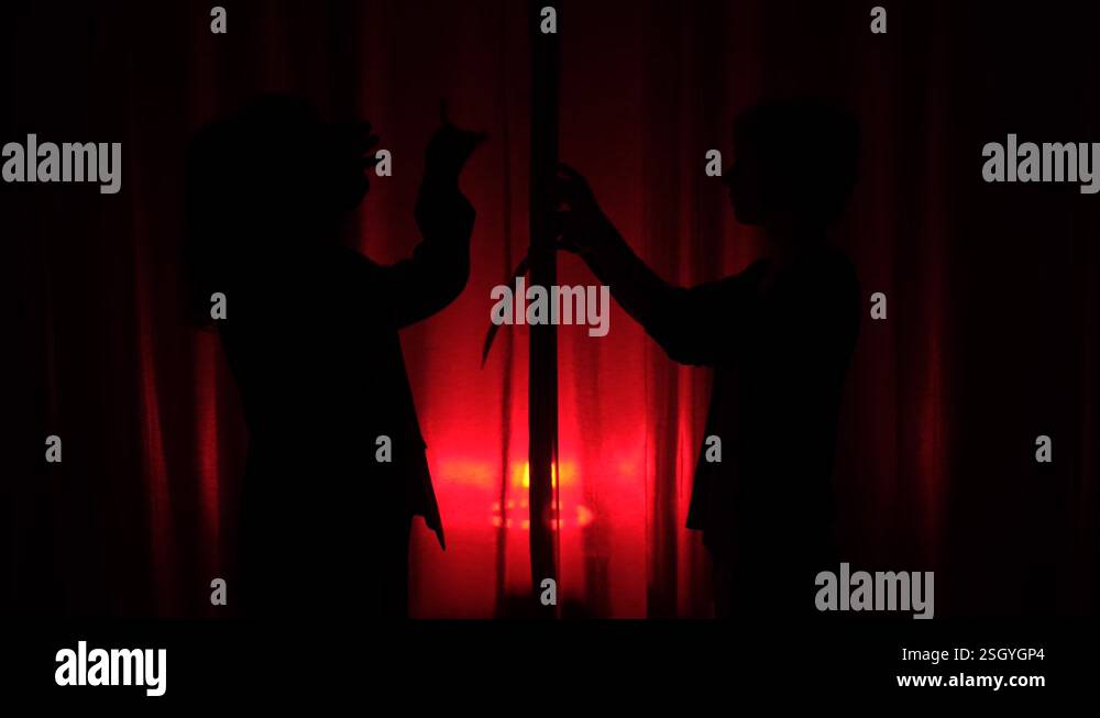 Woman back silhouette Stock Videos & Footage - HD and 4K Video Clips ...