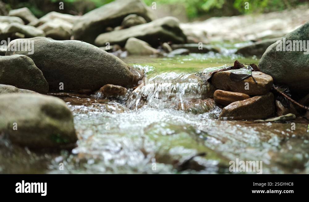 Small calm mountain river with clear water. Water flows over the stones ...