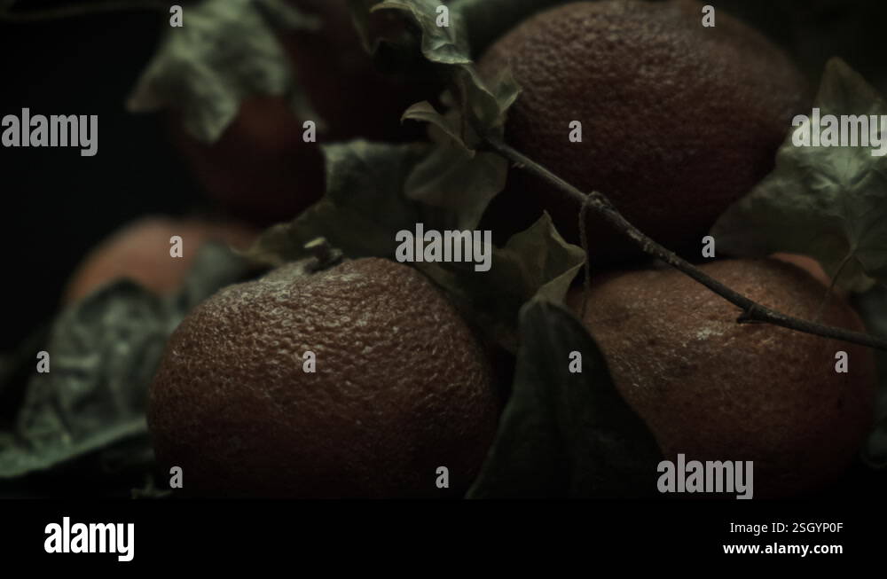 Ageing Process Shown with Decaying Rotten Orange Fruits, Rotating ...